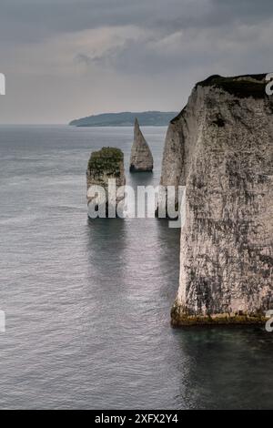 Old Harry, chalk cliffs at the so called Jurassic coast in Dorset ...