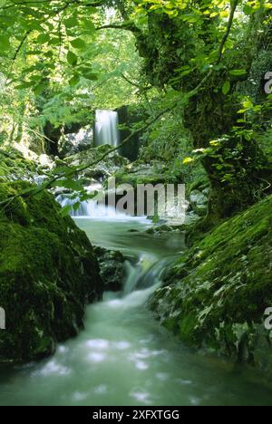 Deva River. Aranzazu. Guipúzcoa. Spain Stock Photo - Alamy