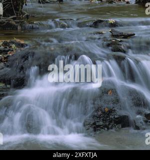 Alzania River. Guipúzcoa. Spain Stock Photo - Alamy