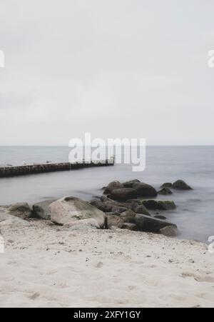 Seagulls are on the rock by the sea waters in Istanbul Stock Photo - Alamy