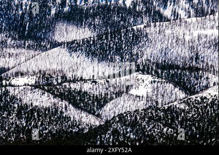 Snow covered Methodist Mountain (11,707' elevation) near Salida ...