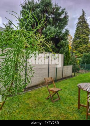 Empty wooden table in living room decorated for Halloween Stock Photo ...