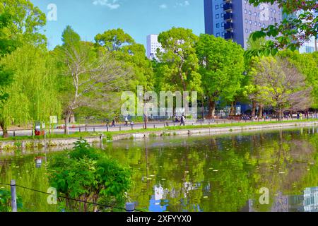 stroll by the lake (Shinobazu pond) in Japan, Ueno, Taito, Tokyo Stock ...