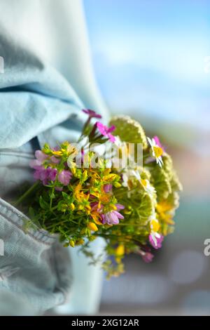 Beautiful tender flowers in front pocket of jeans outdoors, close-up ...