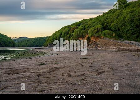 Wonwell Beach and low tide on the River Erme near Mothecombe, Devon ...