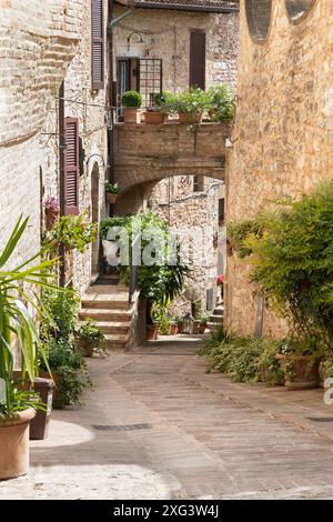 Spello - The little aisle on the old Town Stock Photo - Alamy