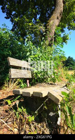 Rotten, collapsed bench by the wayside under a tree Stock Photo - Alamy