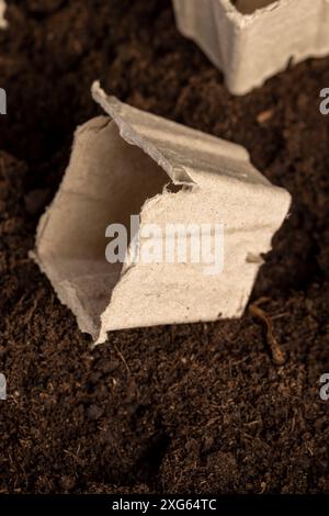 peat paper cups for growing seedlings, square containers for seedlings ...
