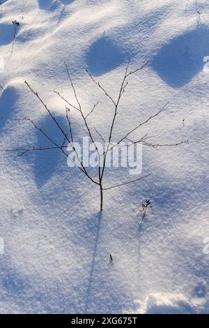 drifts of white pure snow after a snowfall, beautiful white snow in the ...