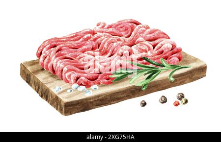 Ground beef, minced meet, Cooking food concept. Hand drawn watercolor ...