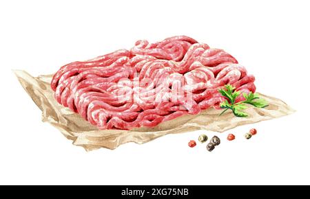 Ground beef, minced meet, Cooking food concept. Hand drawn watercolor ...