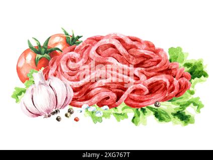 Homemade ground beef, minced meet, Cooking food concept . Hand drawn ...