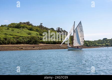 Traditional gaff cutter open dayboat sailing on the Aber Wrac'h ...