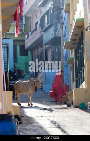 Street scene in Deogarh, Rajasthan, India Stock Photo - Alamy