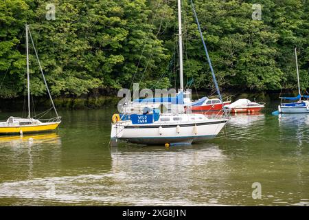 Watermouth, Devon, UK – June 24 2024. Long range zoomed in view of ...
