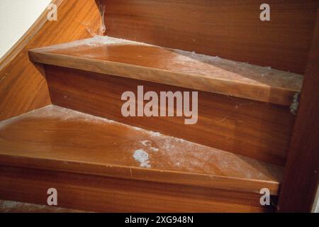 Heavy dust (dust bunnies) and dust piles on steps of wooden stairs ...