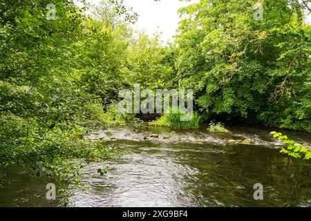 University of Limerick: Living Bridge, Bridge, Europe, Ireland ...