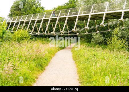University of Limerick: Living Bridge, Bridge, Europe, Ireland ...