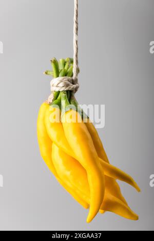 Yellow chili peppers hanging from a string Stock Photo - Alamy