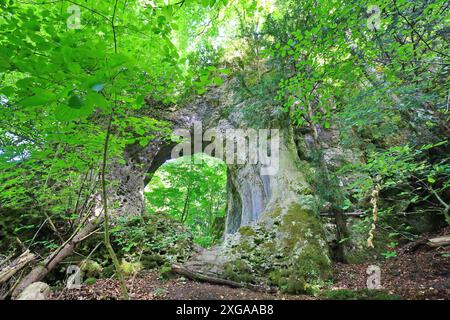 The rock gate near Goessweinstein is a wonder of nature and was created ...