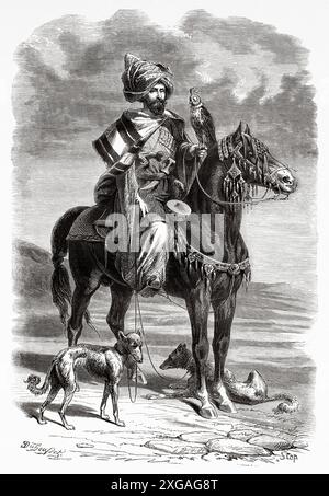 A dog, dressed in clothes, uses a sewing machine while a puppy lays in ...