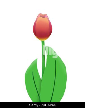 Vector illustration beautiful purple flower frame with various ...