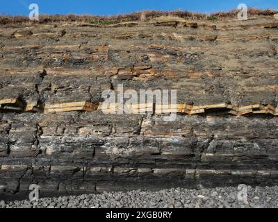 Cliff face showing bands of Kimmeridge clay and bitumninous shale ...