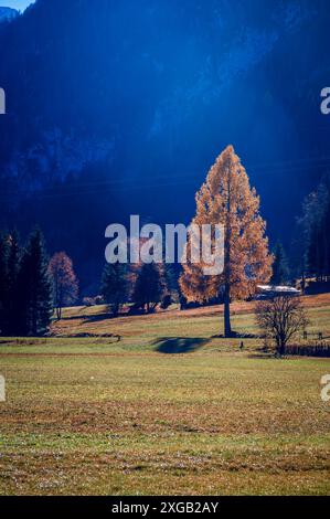 The town of Valbruna at the foot of Montasio Stock Photo - Alamy