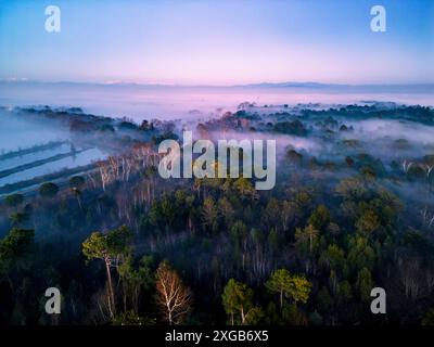 The golden island. Grado Island from above at sunset Stock Photo - Alamy