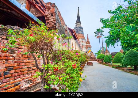 Visit Wat Yai Chai Mongkhon complex with preserved Ubosot, chedis and ...