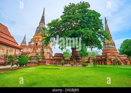 Visit ancient Wat Yai Chai Mongkhon complex, Ayutthaya, Thailand Stock ...