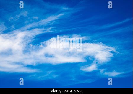 Cloud Appreciation Day. World Meteorological Day. National Look Up at ...