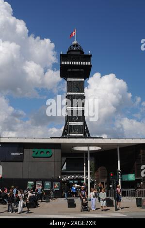 Zoo animals in copenhagen Denmark Stock Photo - Alamy