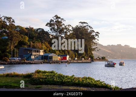 Macandrew Bay in Dunedin - New Zealand Stock Photo - Alamy