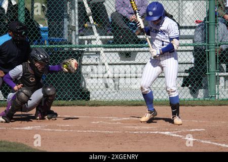 St Louis University Softball vs. St. Thomas University played at ...