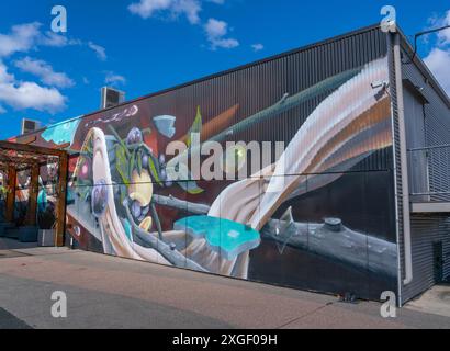 Street art mural in Fromes Lane, Stanthorpe, queensland, australia ...