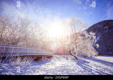 Idyllic winter landscape: wooden bridge and snowy trees, mountain range ...