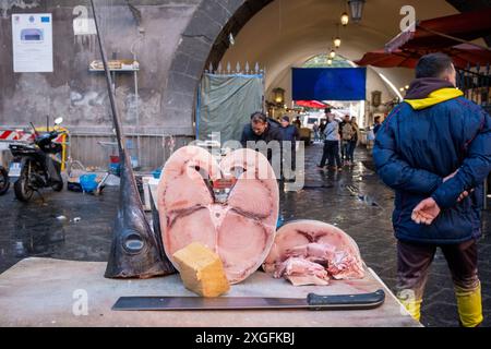 Fresh swordfish on Catania fish market, Italy Stock Photo - Alamy