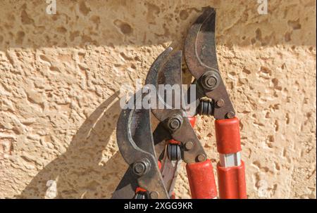 Two-handed shears over rock surface. Pruning activities in gardens ...