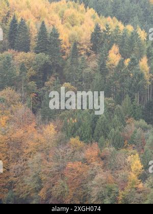 South Shropshire landscapes and woodland viewed from Hopesay Common ...