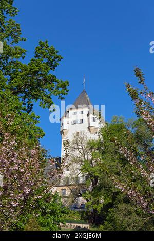 Berg Castle, the residence of the Grand Duke of Luxembourg, Colmar-Berg ...