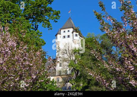 Berg Castle, the residence of the Grand Duke of Luxembourg, Colmar-Berg ...