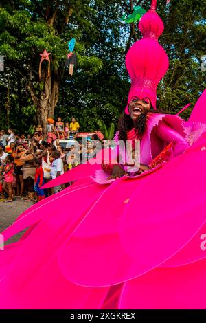 Caribbean participants in the International Carnival Seychelles, in ...