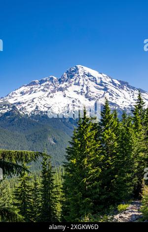Mount Rainier from Rampart Ridge Hiking Trail, Mount Rainier National ...