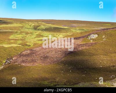 Environmental damage caused by muir burn by the grouse shooting ...