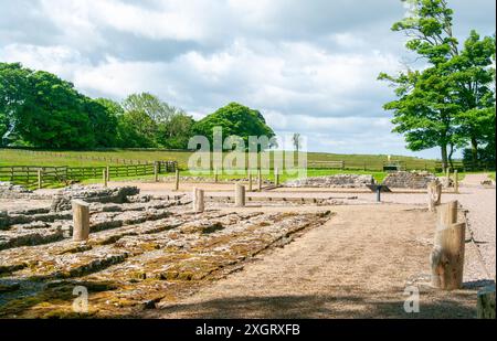 Excavation at Birdoswald Roman Fort Gilsland, Brampton, Cumbria ...