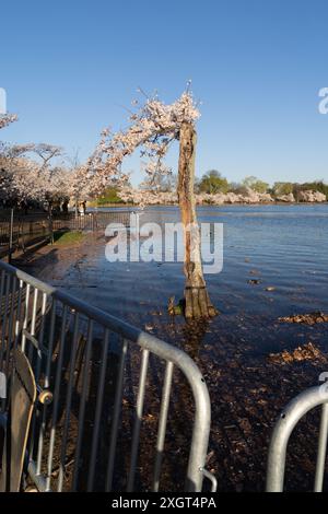 Tidal Basin Flooding Seawall Project Washington DC // WASHINGTON DC ...