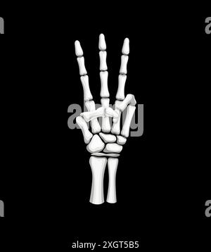 Skeleton hand forms a three-fingered gesture. Isolated vector Halloween ...