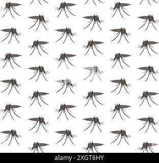 dengue mosquito sketch hand drawn vector Stock Vector Image & Art - Alamy