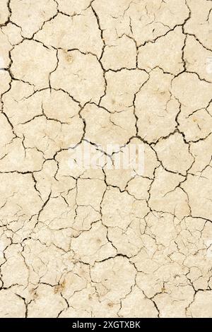 High-resolution image showcasing a detailed view of a dried and deeply ...